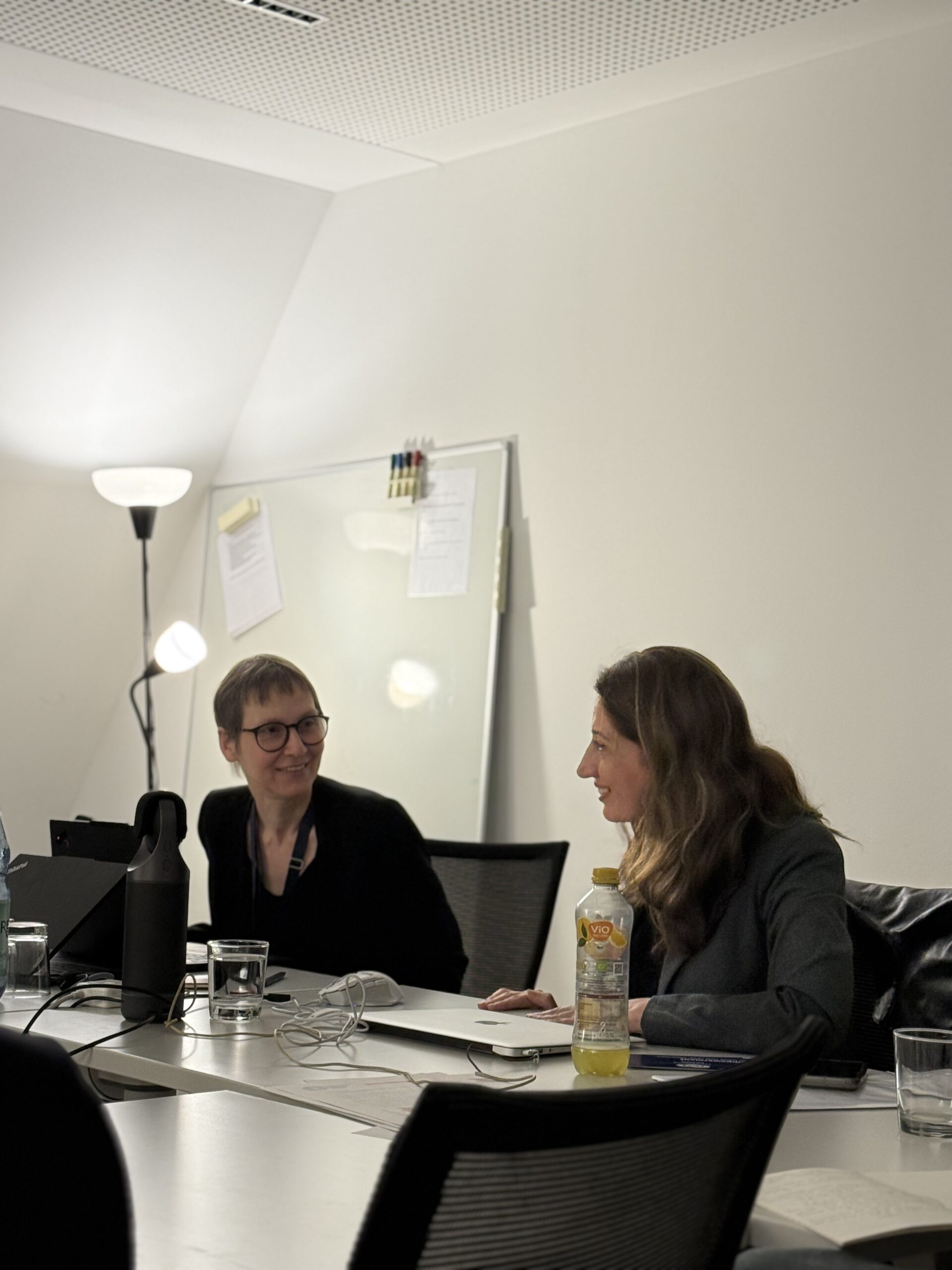 Human Rights Colloquium: „Anwaltschaft unter autoritären Regimes: Die ...